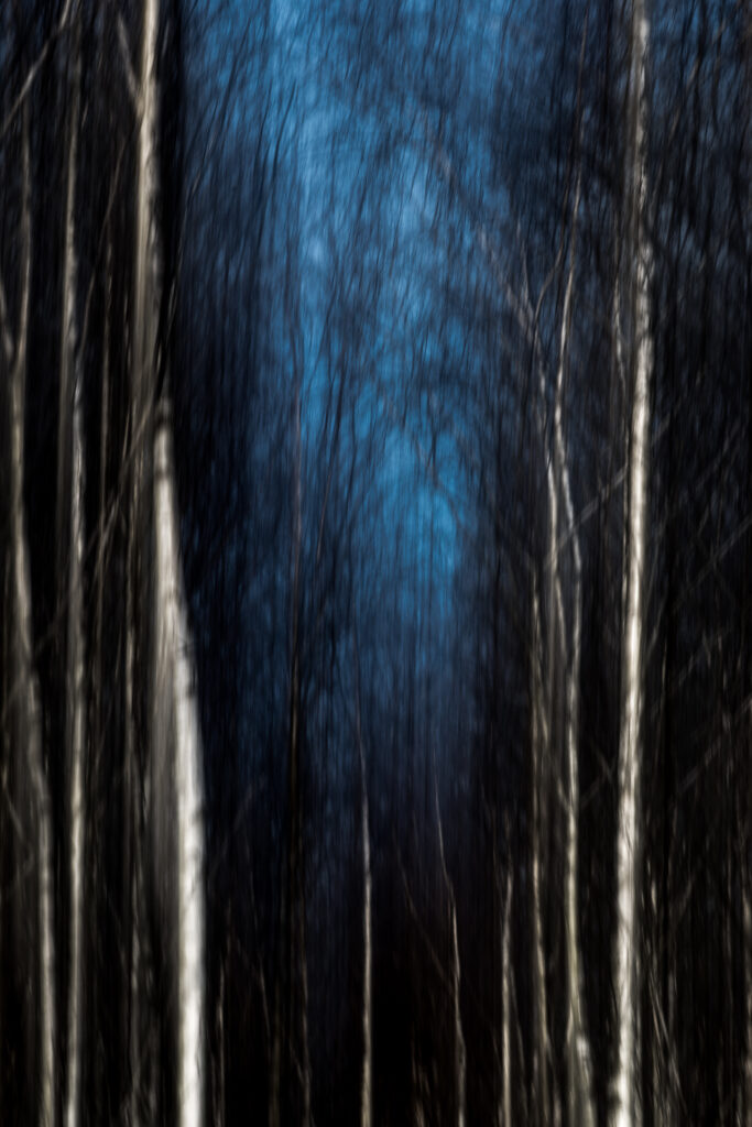 Gateway – The Artist Hub